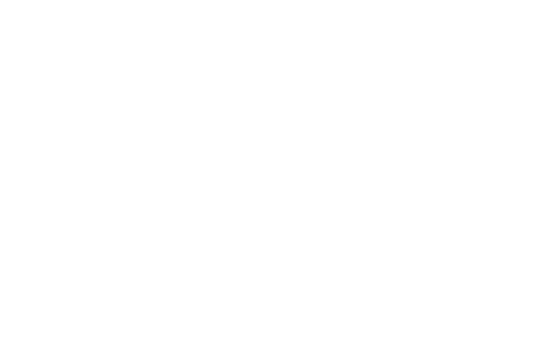 Cariboni Group - LiGHT